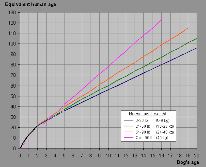 The Mythology of Dog Years - Priceonomics