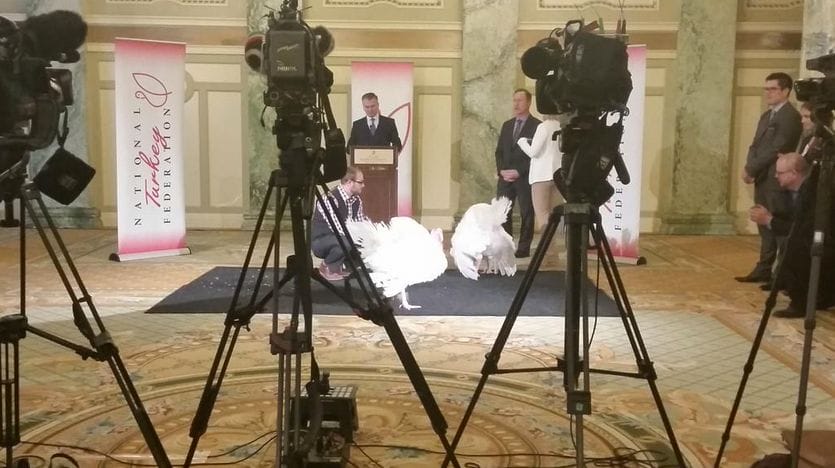 The Miserable Life of the Presidential Turkey - Priceonomics