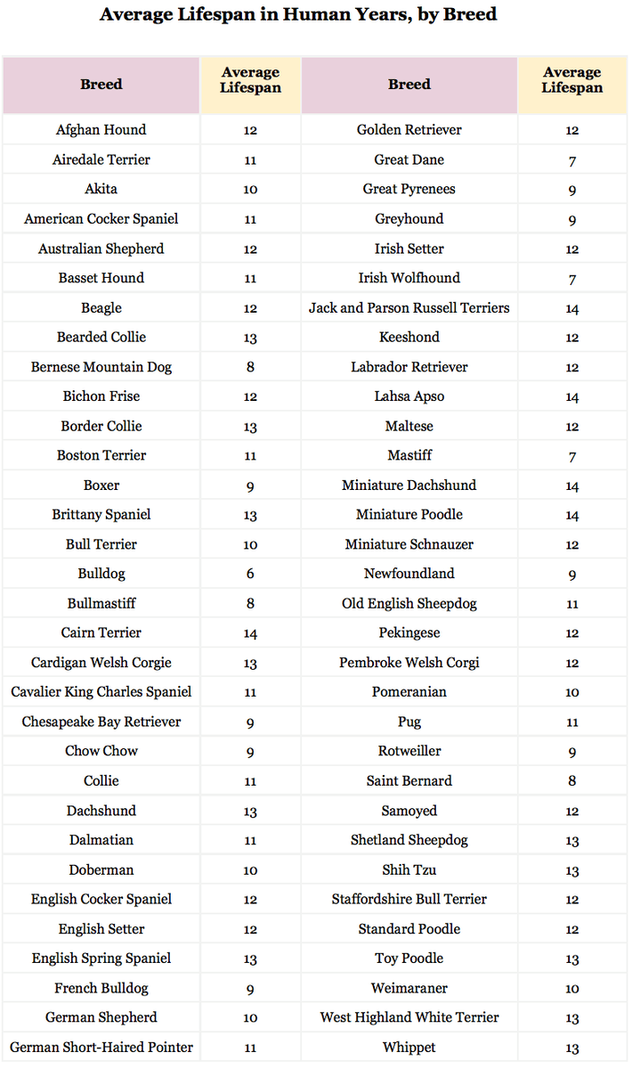 The Mythology of Dog Years - Priceonomics